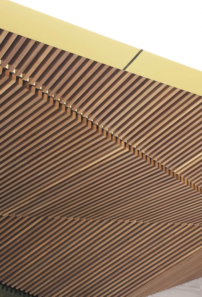 5 Feature Ceiling Design Trends You Can Look Up To | Sculptform