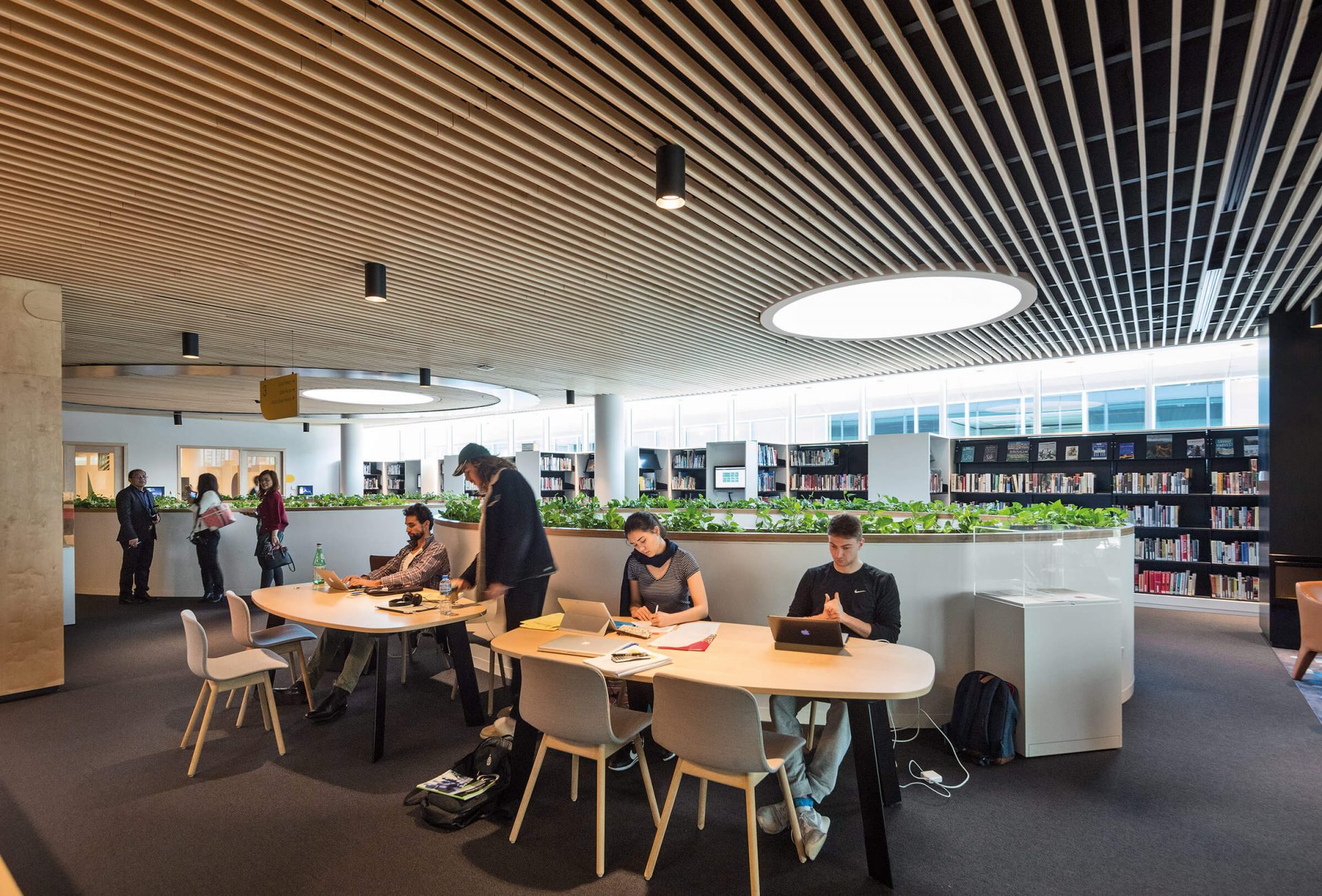 Double Bay Library - Sculptform