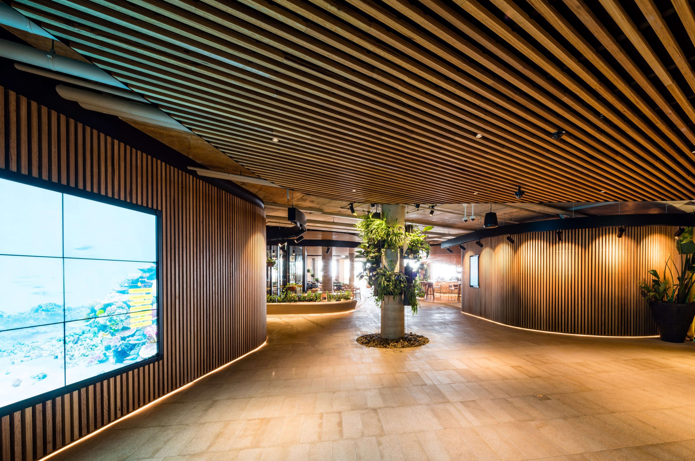 Timber Feature Walls - Sculptform