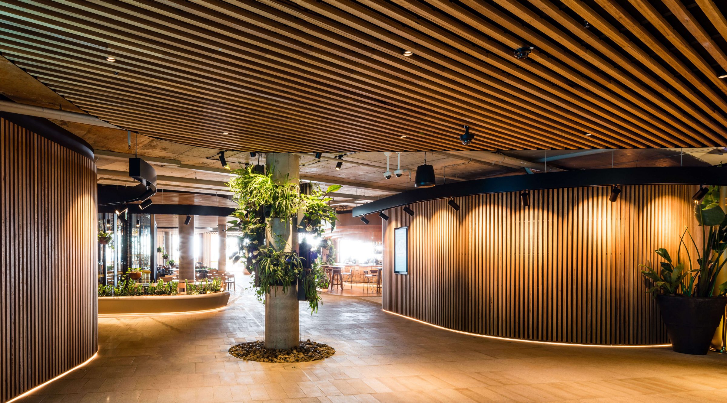 Mastering Ambient, Task, and Accent Lighting in Architectural Design ...