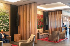 Free Standing Screens - Sculptform