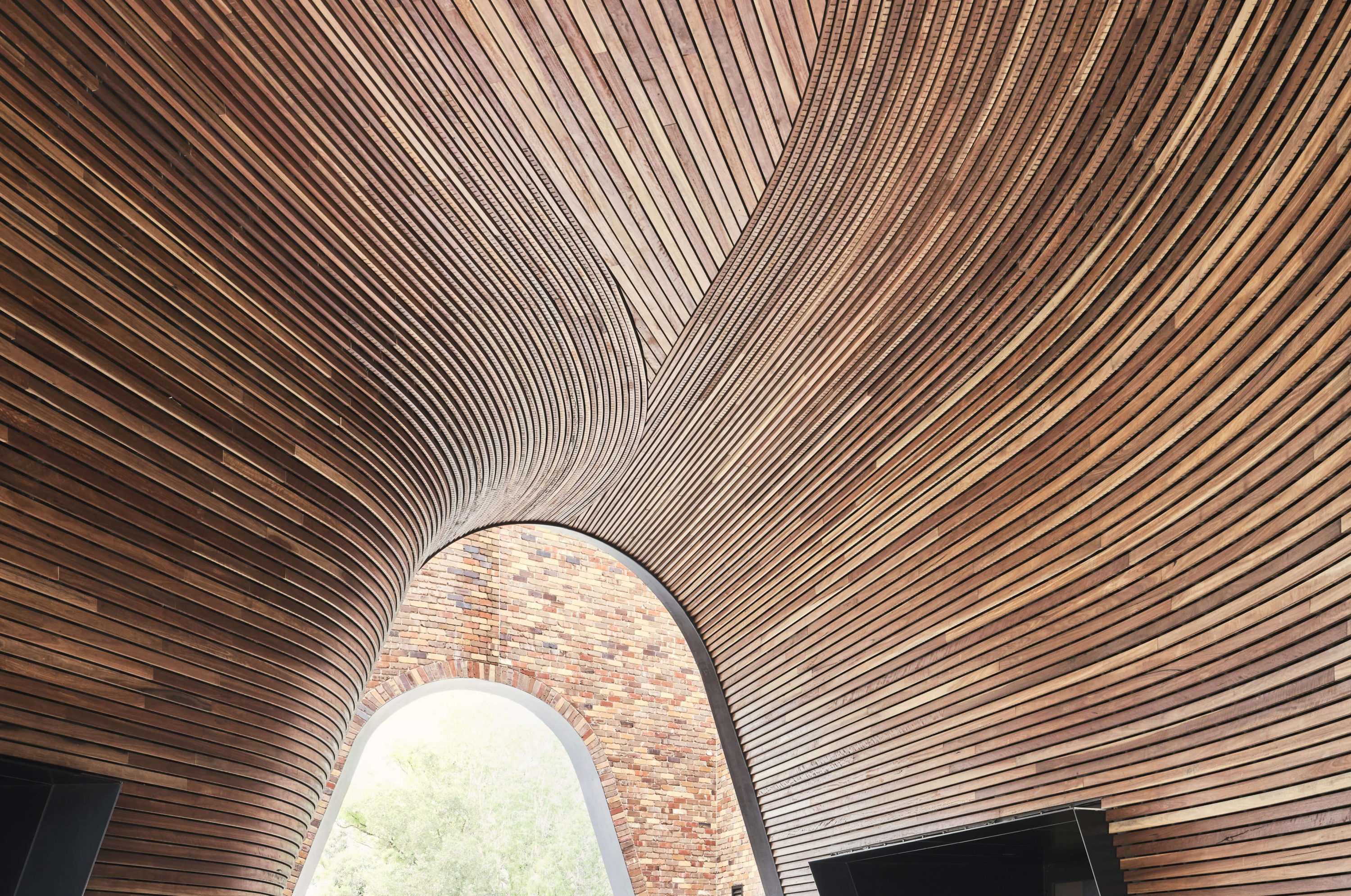 Curved Timber Walls and Ceilings | Sculptform