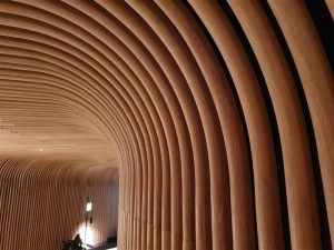Curved Timber Walls and Ceilings | Sculptform