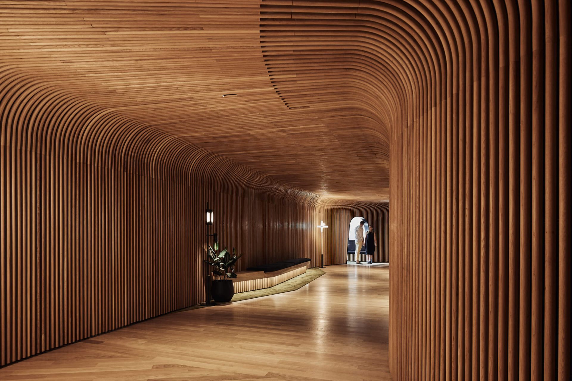 Curved Timber Walls and Ceilings | Sculptform