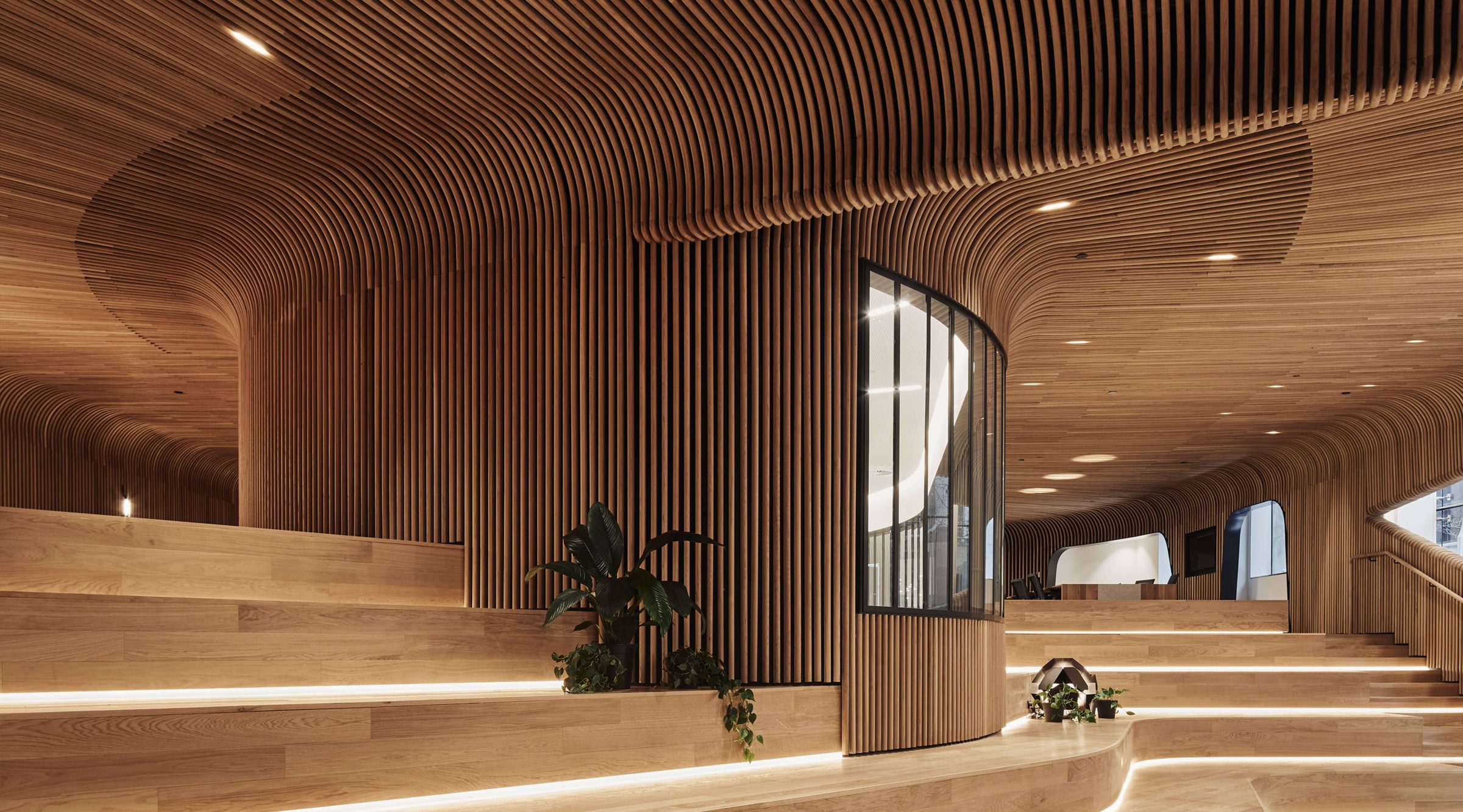 Curved Timber Walls and Ceilings | Sculptform