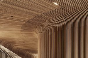 Choose the Best Curved Timber for your Application | Sculptform