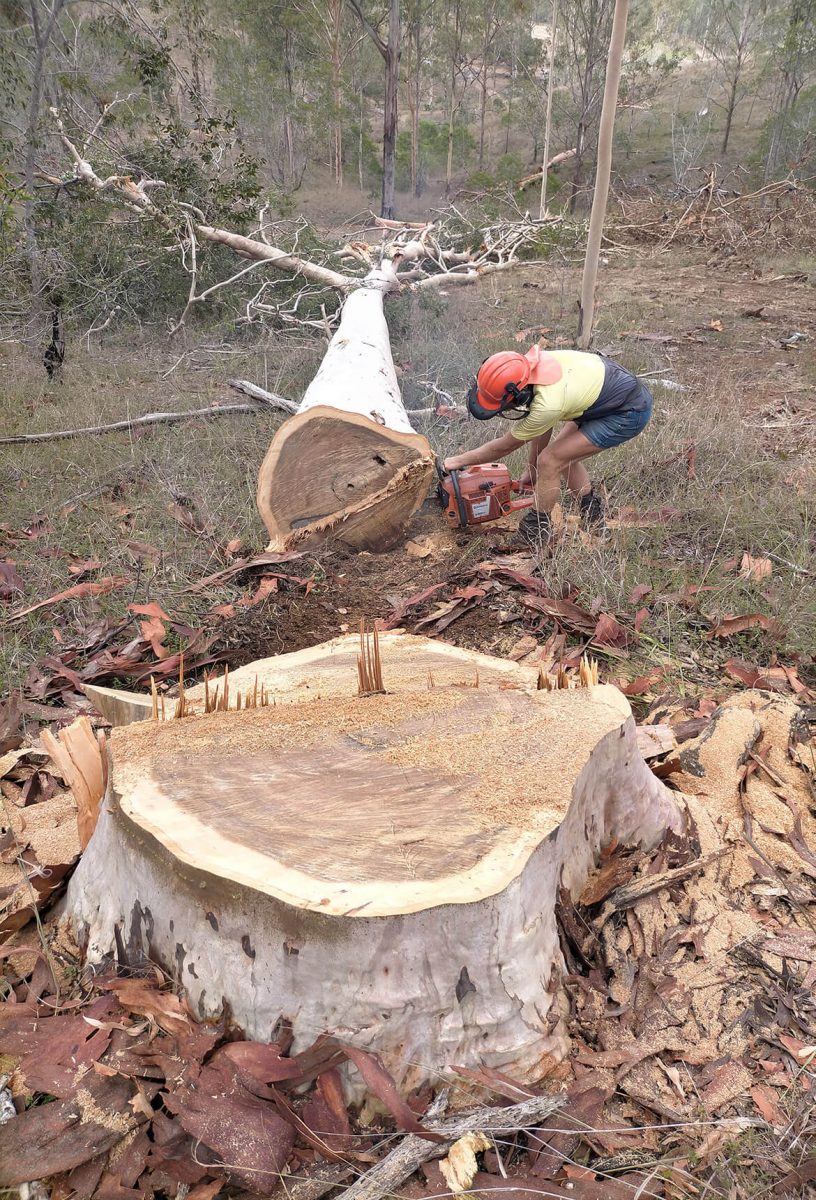 What is Sustainably Sourced Timber? - Sculptform Editorials