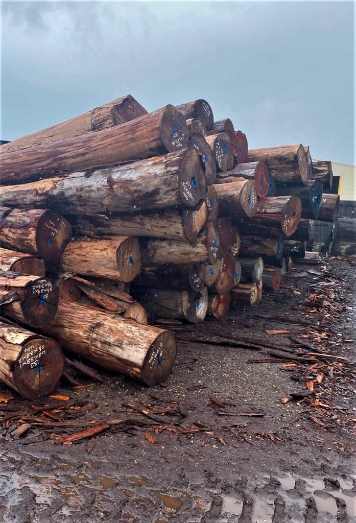 What is Sustainably Sourced Timber? - Sculptform Editorials