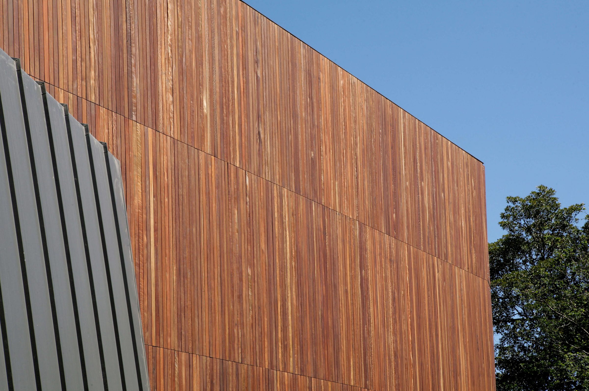 What Causes Timber Movement? - Sculptform