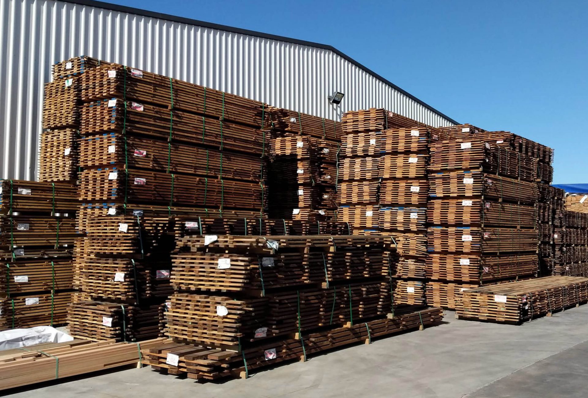 What Causes Timber Movement? - Sculptform