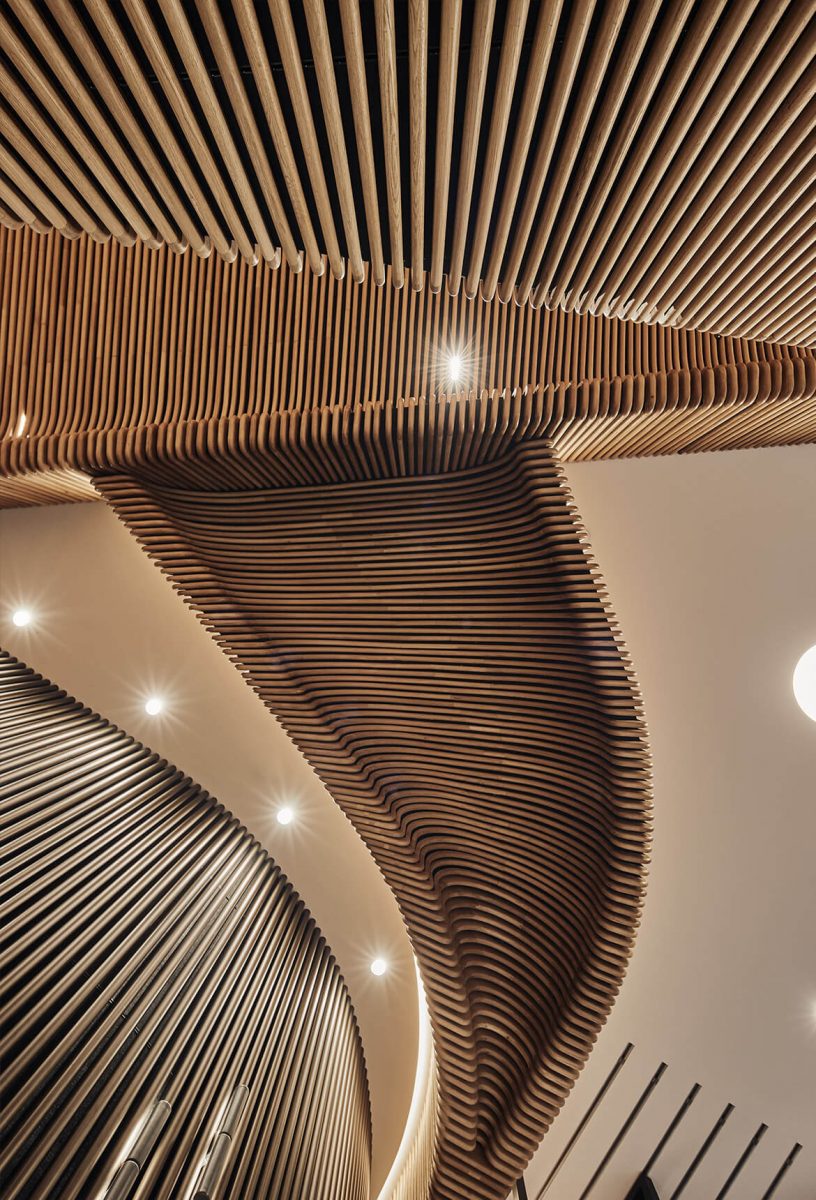 How is Timber Curved? - Sculptform