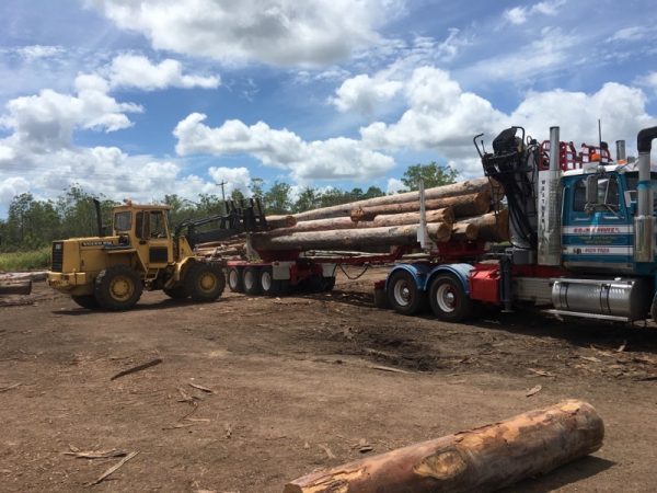 The Process of Timber Manufacturing - Sculptform