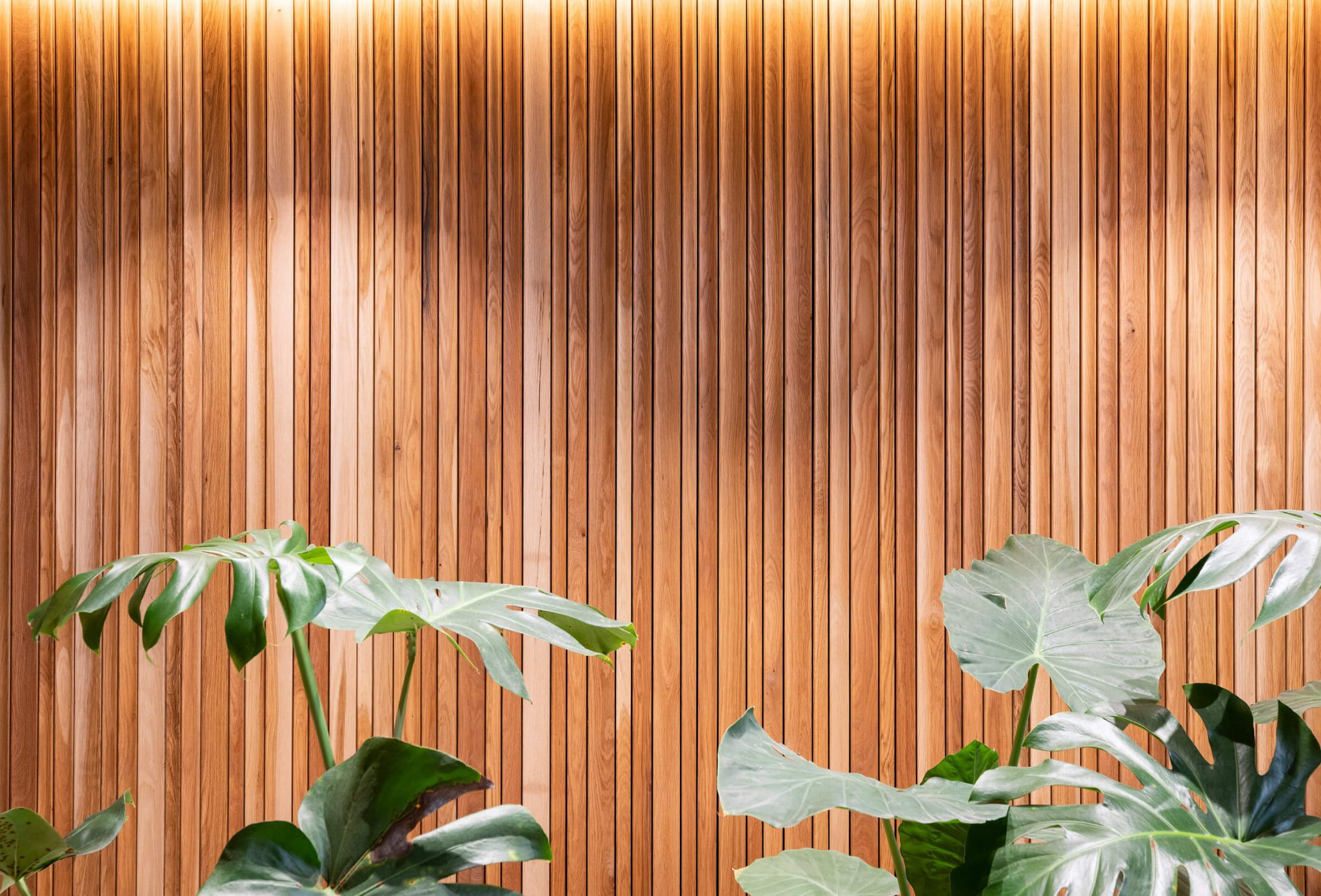 Click-on Battens | Architectural Wall & Ceiling Solutions | Sculptform