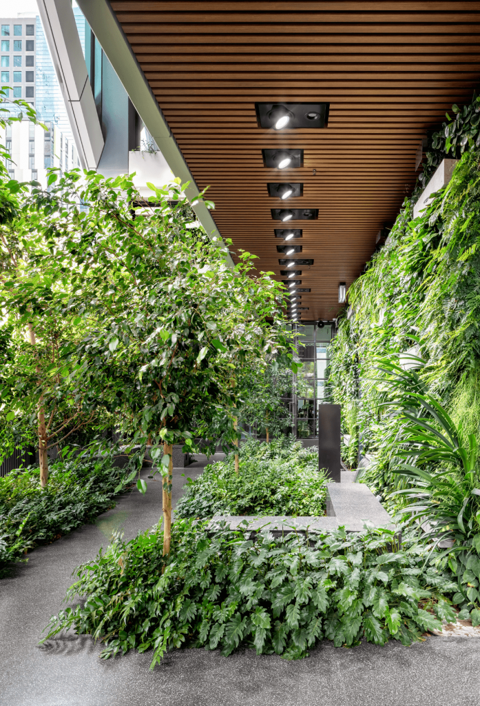 Paragon Melbourne - Sculptform