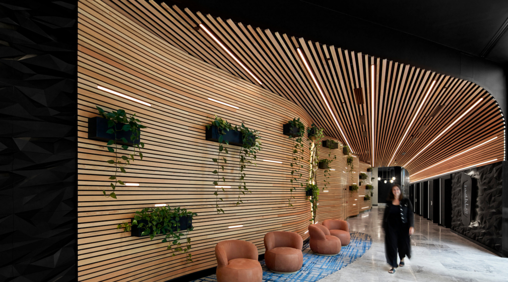 Curved Timber Walls and Ceilings | Sculptform