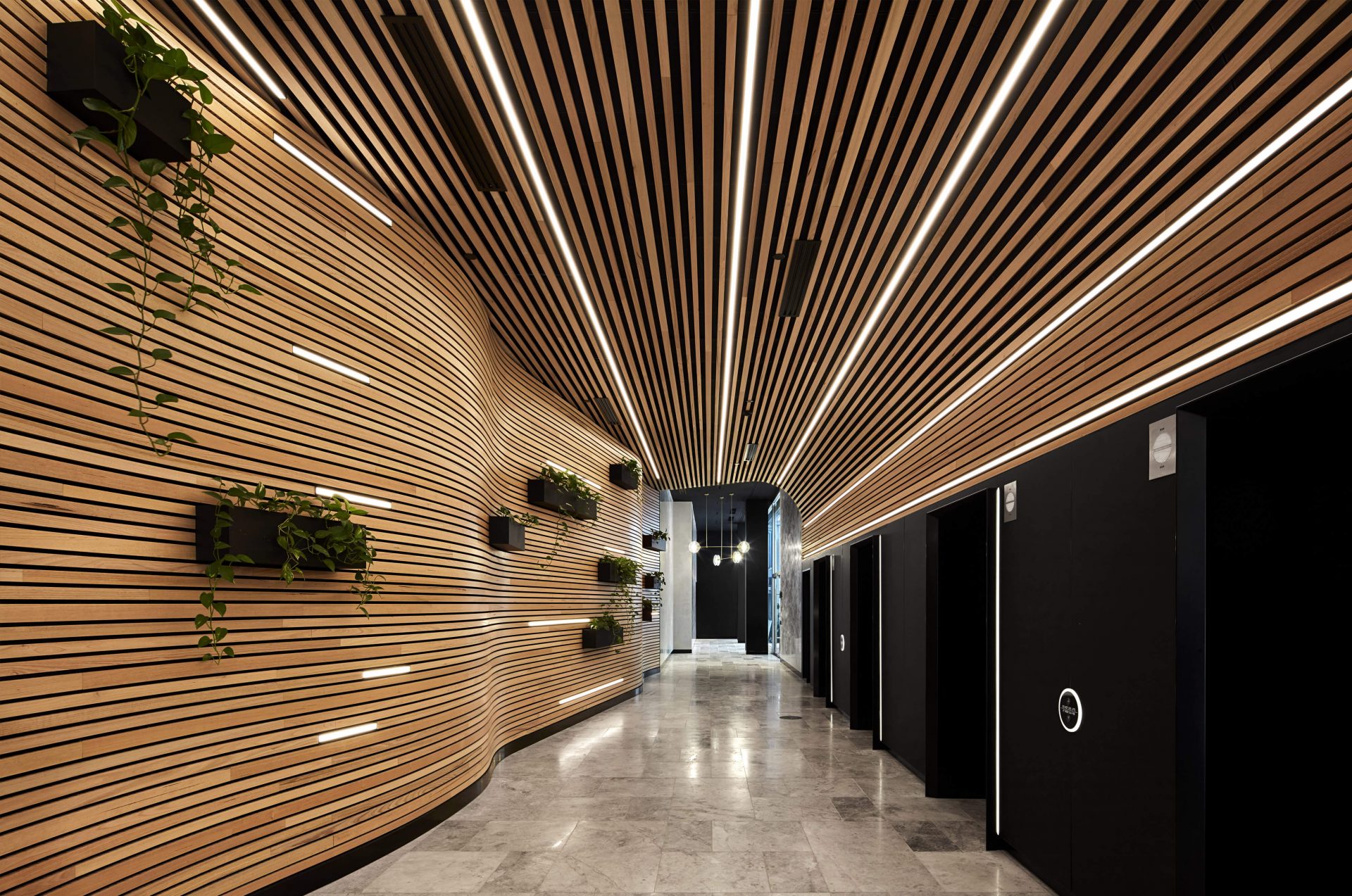 Click-on Battens | Architectural Wall & Ceiling Solutions | Sculptform