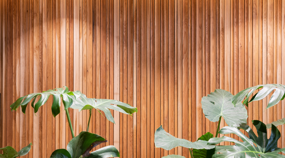 Timber Cladding Walls - Sculptform
