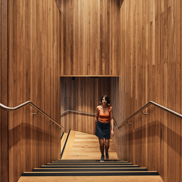 Timber Cladding Walls - Sculptform