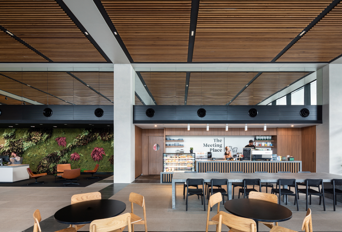 Manunda Place | Sculptform