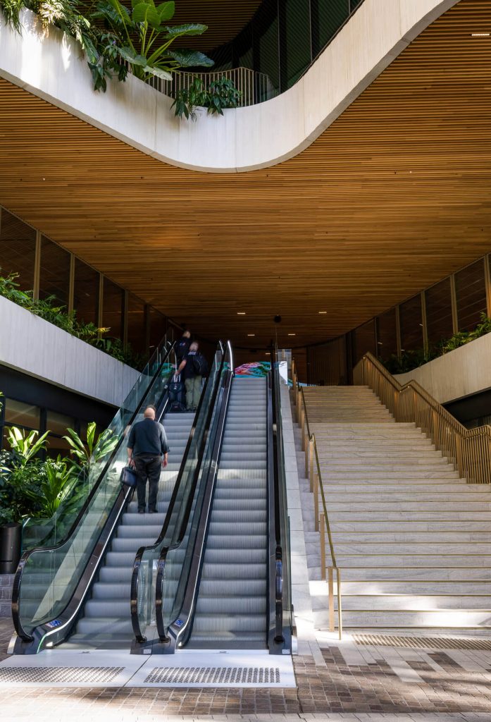 Heritage Lanes - 80 Ann Street - Sculptform