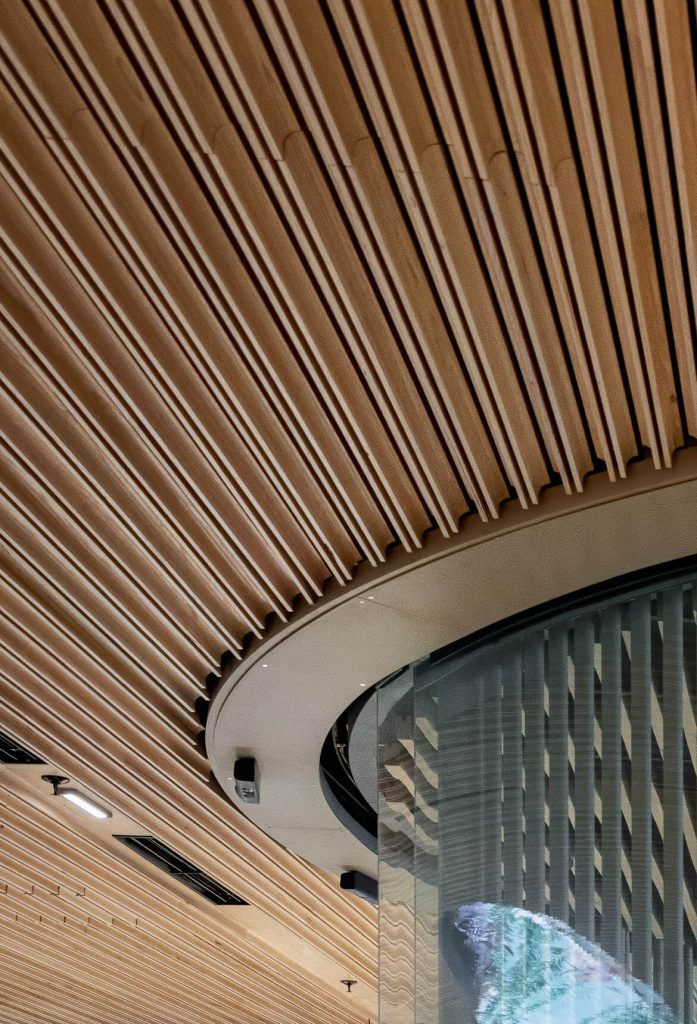 Heritage Lanes - 80 Ann Street - Sculptform