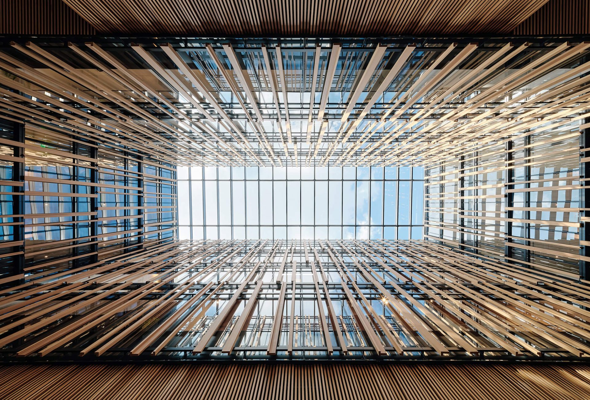 Creative Approach to Sound Absorption at the Embassy - Sculptform