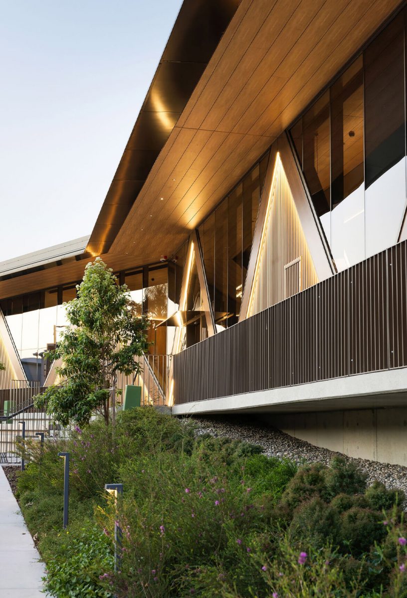 Tree Canopy-Inspired Facade at Everton Park Library - Sculptform